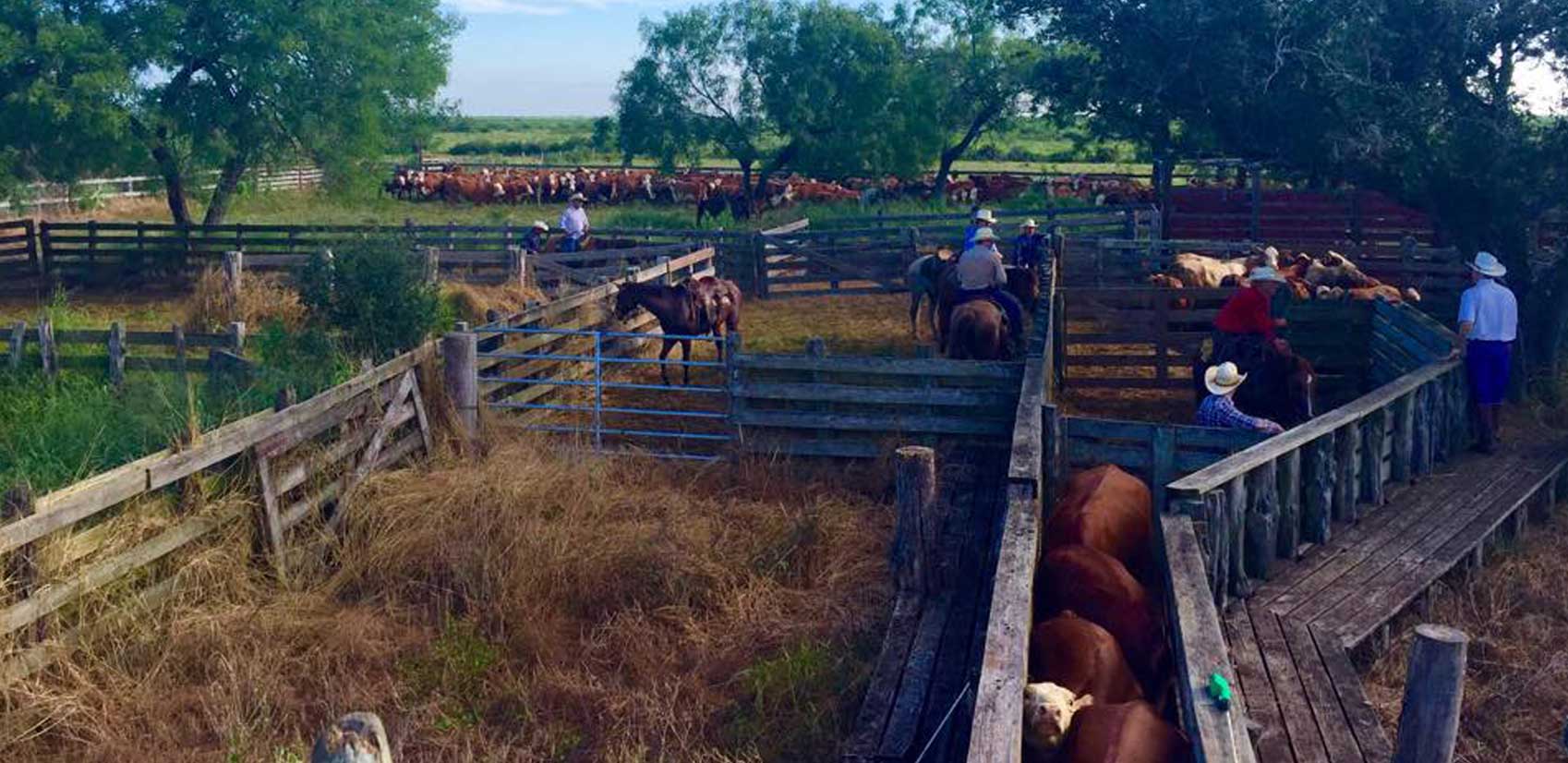 McFaddin Ranch | McFaddin Ranch | Victoria Texas
